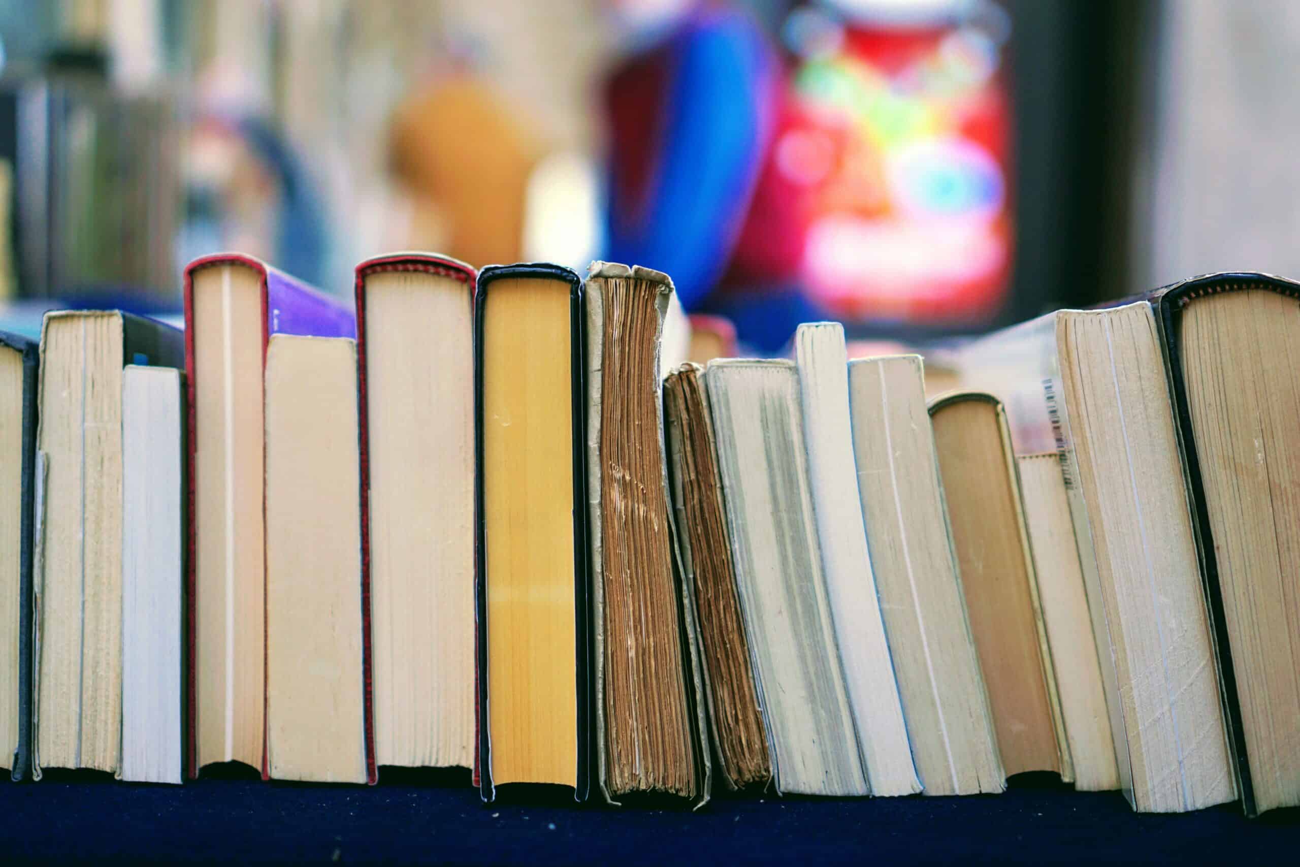 Best Books for Translators in 2024: The Ultimate Guide – Accelingo